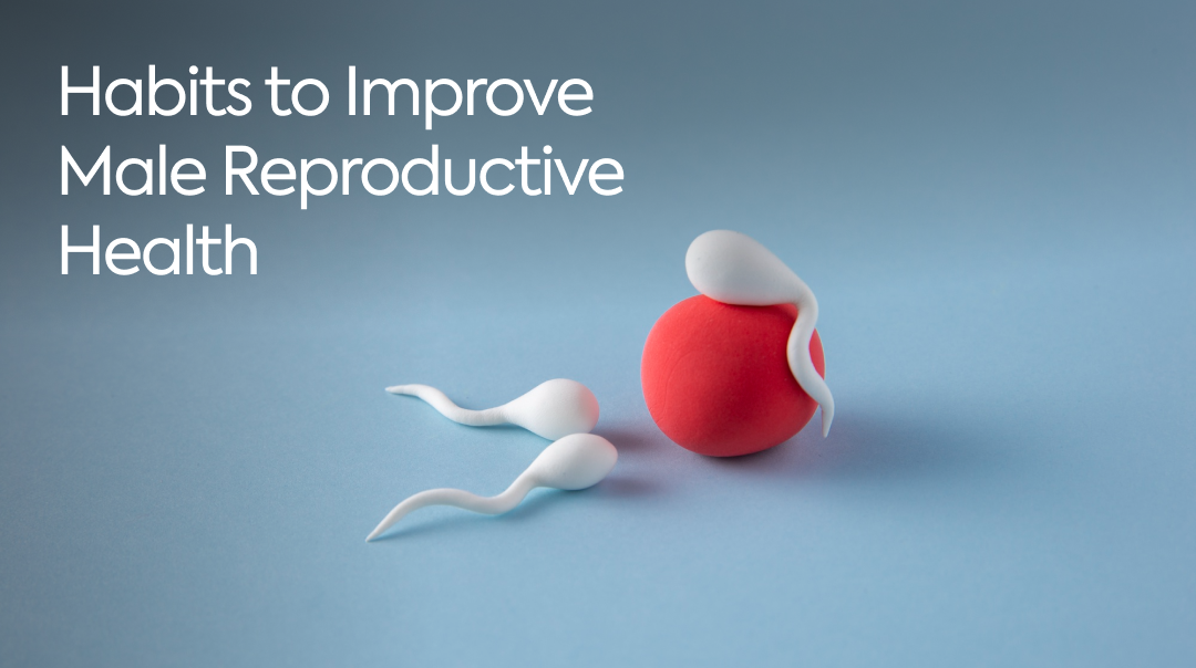 Simple Habits to Improve Male Reproductive Health – Natxtra.com